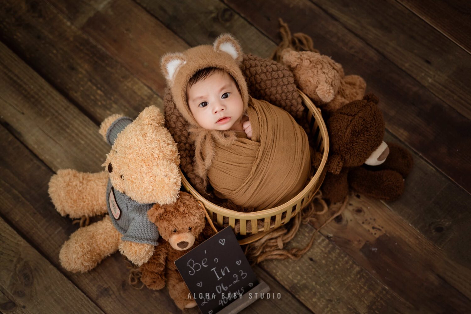 Little Bear - Aloha Media