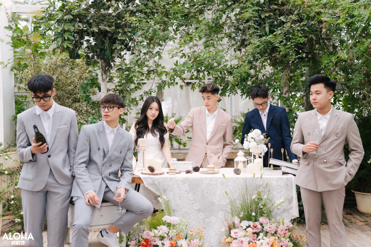 Album 17895 - Aloha Media