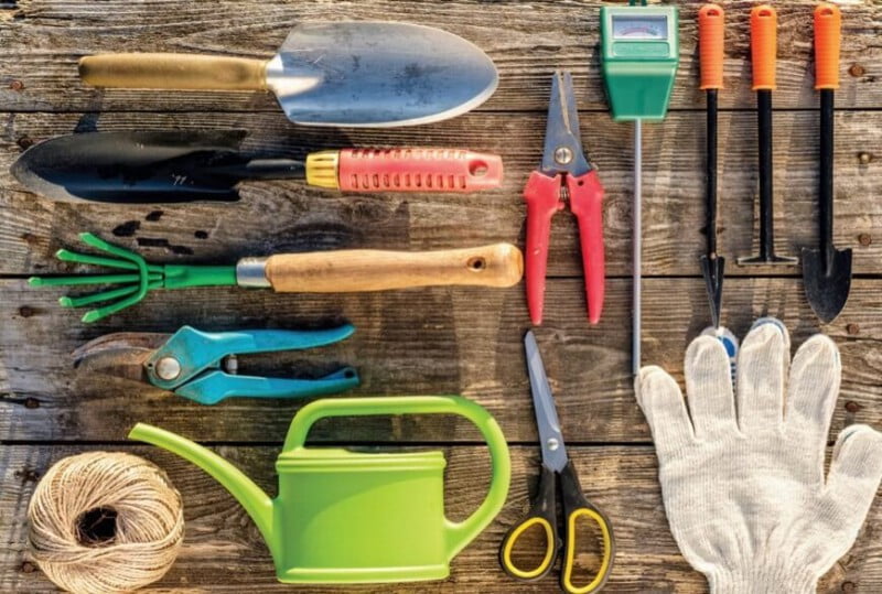 [Ebook Việt Hoá] The Kew Gardener's Guide to: Growing houseplant ...