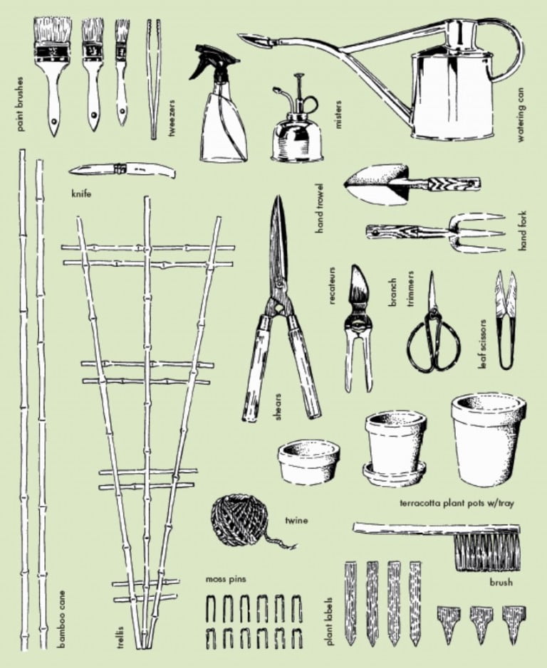 [Ebook Việt Hoá] Indoor Gardening (2017): Tools, Materials and Basic ...