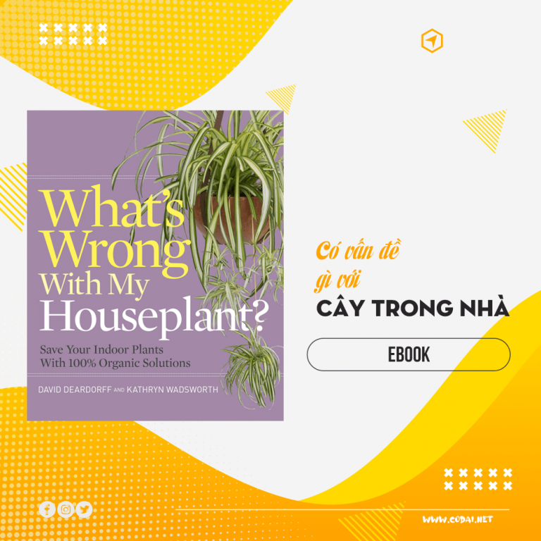[Ebook Việt Hoá] What's wrong with my houseplant? (Có vấn đề gì với cây ...