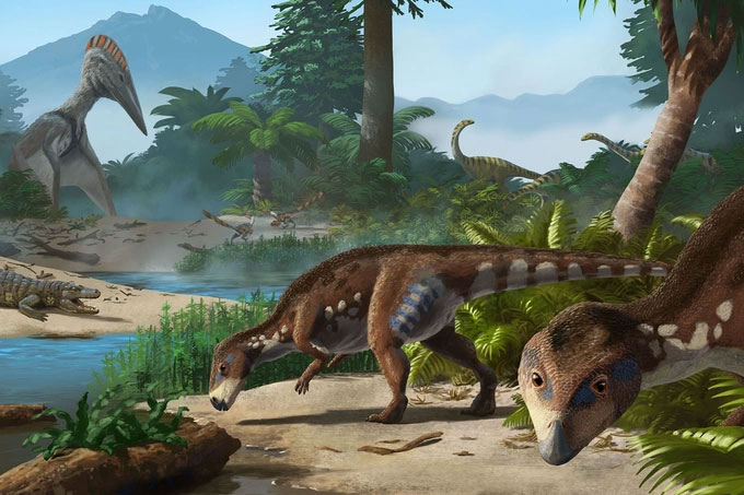 Phát hiện khủng long lùn trên hòn đảo thời tiền sử ở Transylvania - Yêu ...