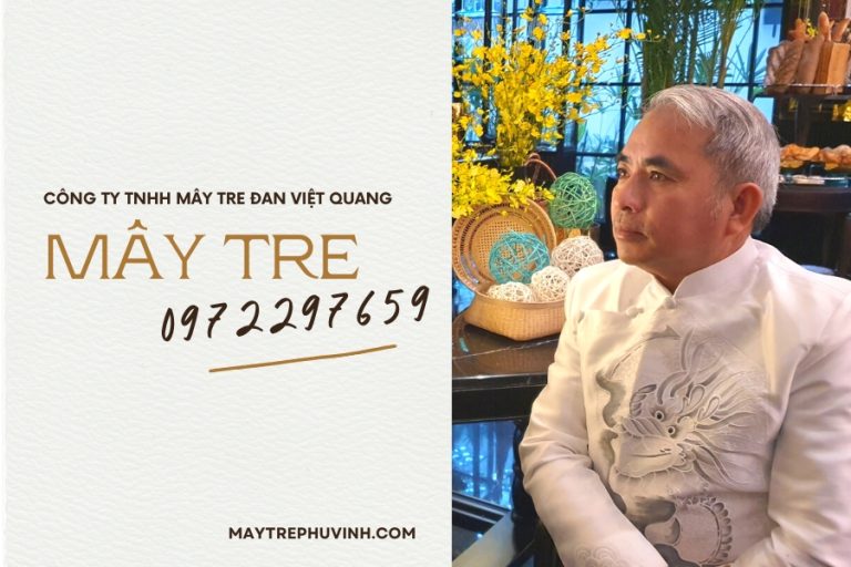 Mây Tre: Tất tần tật về Mây Tre Lá và những thông tin cần biết