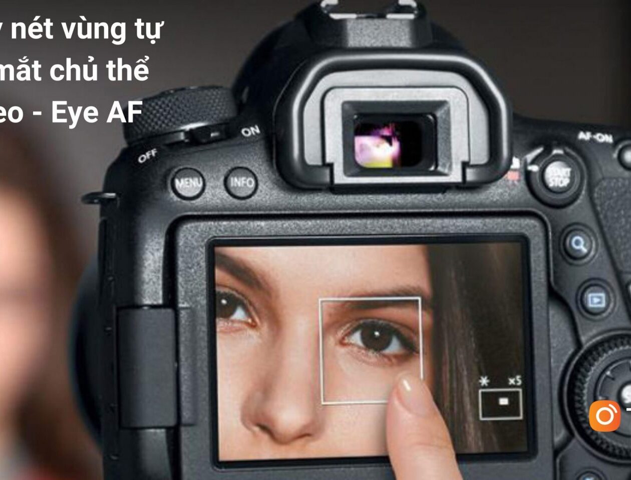 Lấy Nét Trong Nhiếp Ảnh: Các Loại Lấy Nét Và Cách Sử Dụng Lấy Nét Hiệu ...