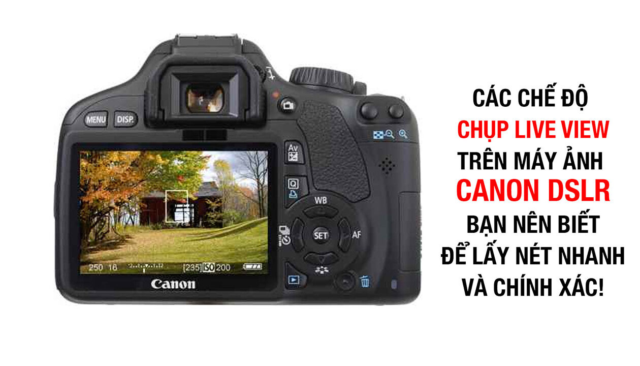 Hướng dẫn chụp Live View lấy nét nhanh máy ảnh DSLR Canon đời cũ - Thế Giới Nhiếp Ảnh