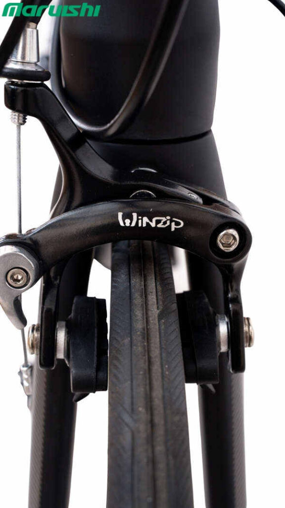 Xe đạp thể thao TORINGS MASTER - Xe Đạp Somings